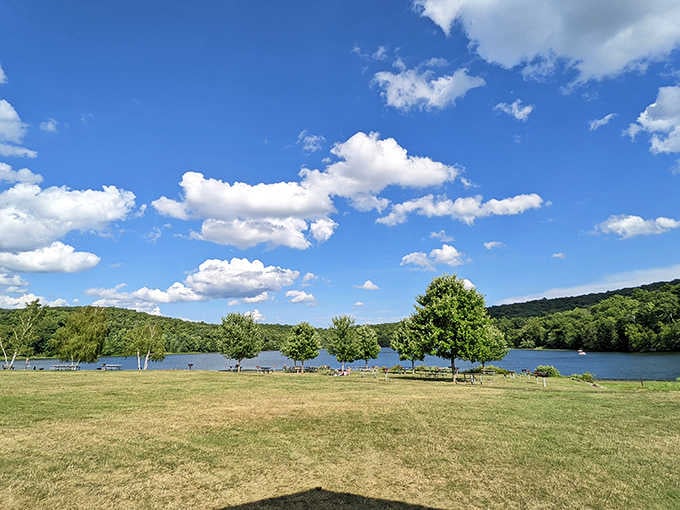 Fluffy clouds dance above Shepherd Lake's sparkling waters, inviting visitors to picnic and play on this perfect summer day.