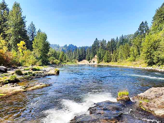 The Clackamas River cuts through Milo McIver like nature's own masterpiece, creating a scene that makes smartphone cameras weep with inadequacy.