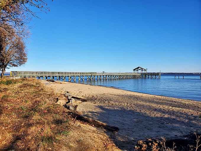 Nature's front-row seats to the Potomac. This wooden pier stretches into the river like an invitation, promising fishermen and daydreamers alike a perfect perch.