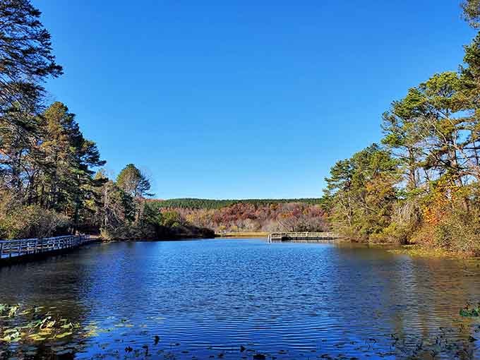 Branch Pond on a clear day looks like someone Photoshopped the sky directly onto the water's surface.