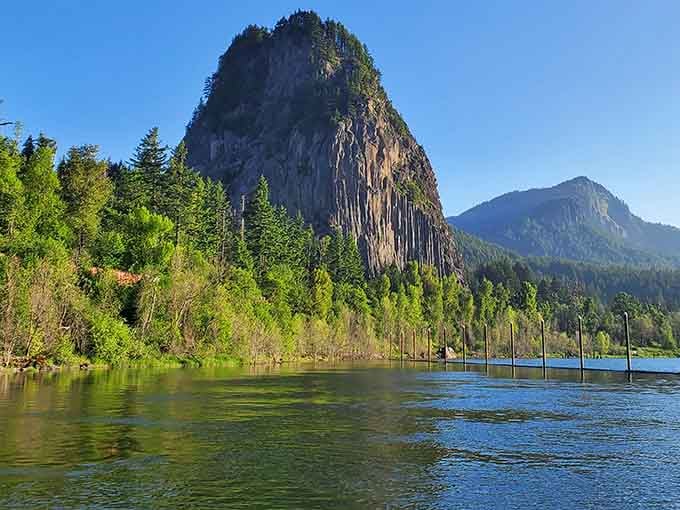 Beacon Rock rises from the Columbia River like nature's skyscraper, a geological marvel that makes you wonder if Mother Nature was showing off.