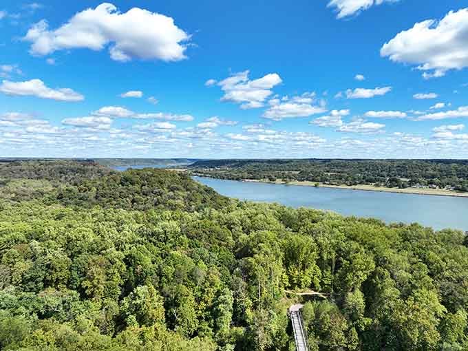 The Ohio River stretches out like a blue ribbon through endless green forest, reminding you why people built paradise here.