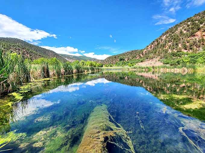 Crystal-clear water reflecting the canyon walls like nature's own mirror, proving Colorado has more than just mountains.