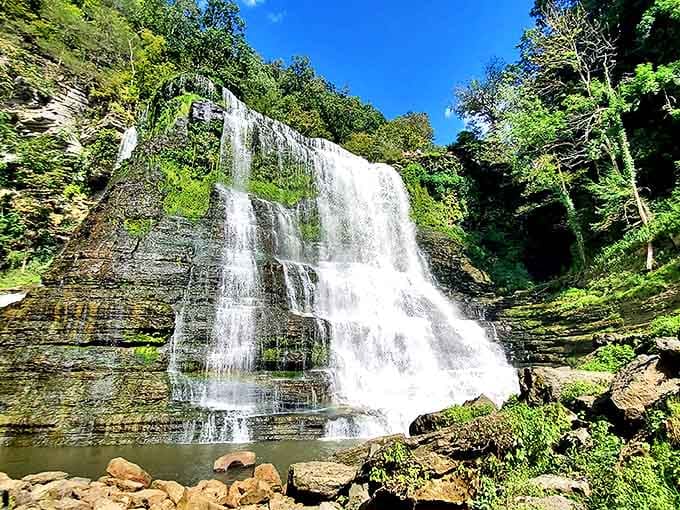 The majestic Big Falls plunges 136 feet in a spectacular white curtain, showcasing the crown jewel of Burgess Falls State Park.