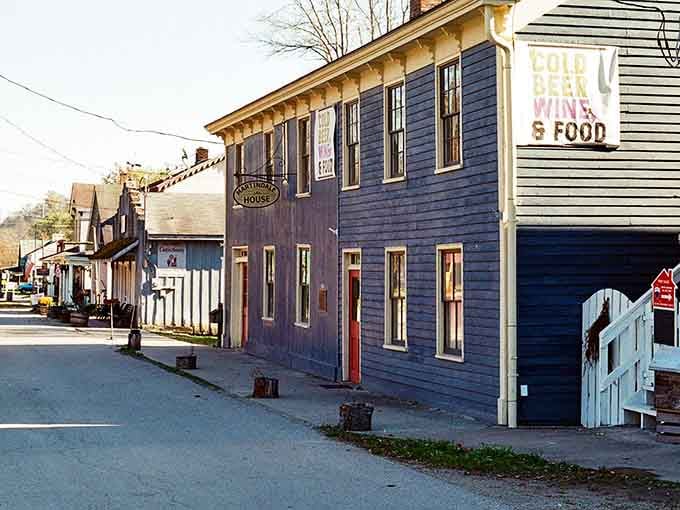 Main Street Metamora proves that historic charm and excellent shopping can coexist without anyone getting hurt in the process.