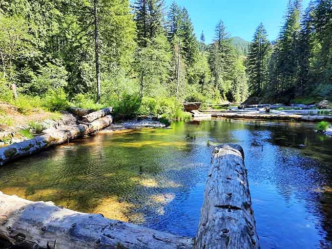 The pristine pools along Naked Creek offer shallow wading areas perfect for families with young children seeking gentler water experiences.