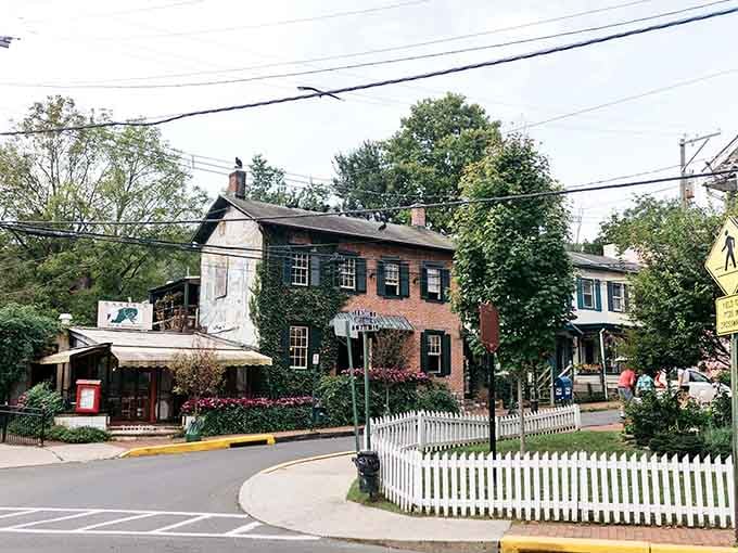 Tree-lined streets and historic buildings create the kind of town where your GPS becomes completely unnecessary and wonderfully irrelevant.