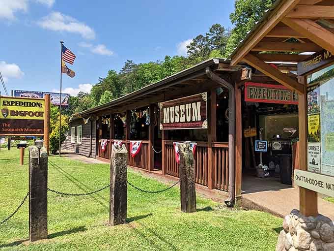 The rustic exterior promises adventure, and honestly, it delivers on that promise in the most delightful way.