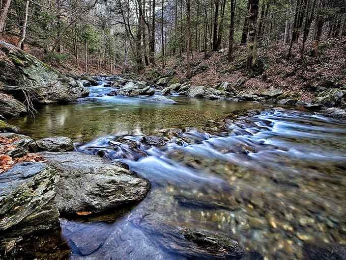 The journey to the falls takes you through streams that look like nature's own meditation app, minus the subscription fee.