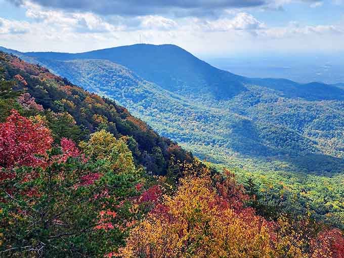 Those mountain ridges rolling into infinity like nature's own amphitheater will make your heart skip a beat.