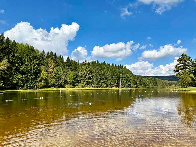 Mirror-perfect reflections on glass-smooth water—this is Maryland doing its best impression of a Swiss postcard.