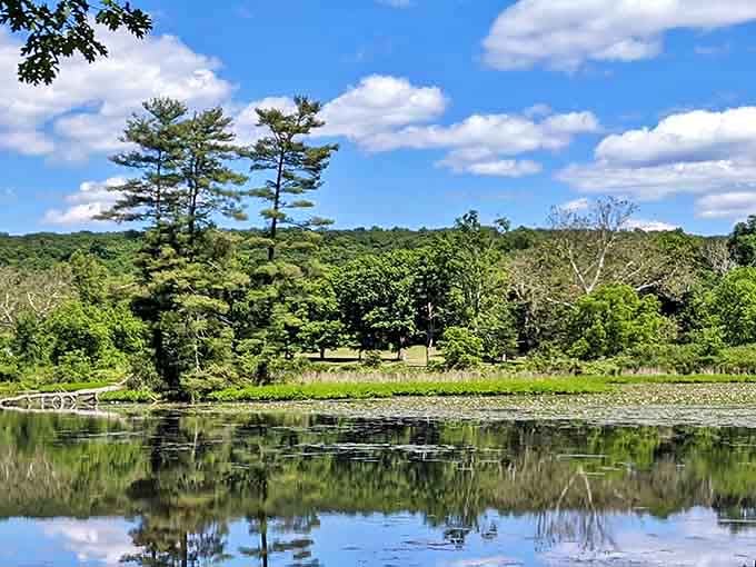 Mirror-perfect reflections on calm water: nature's way of showing off while you're trying to take a simple photo.