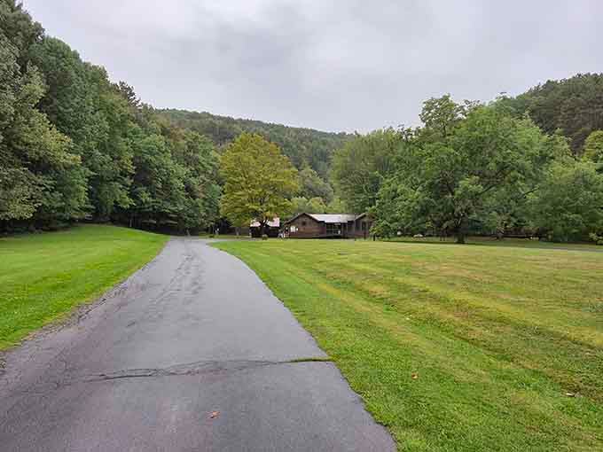 The park's rustic buildings nestle into the landscape like they've been here since the beginning of time.