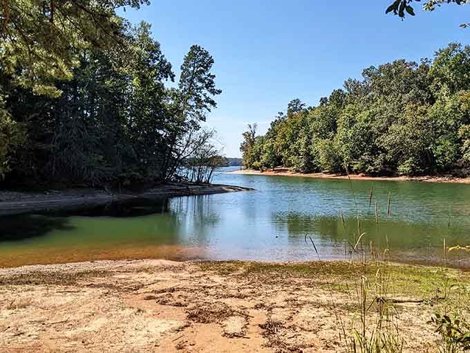 Sandy beaches meeting calm waters where the only decision you'll face is which spot claims your beach towel first.