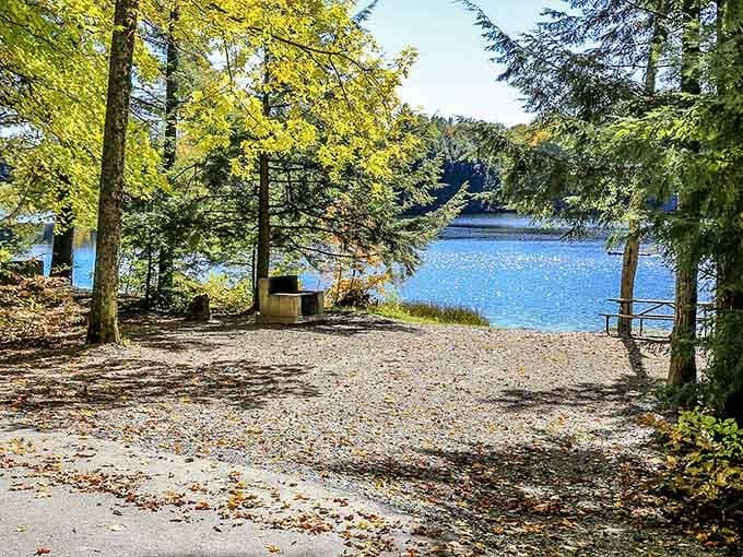 Another day, another slice of Vermont paradise where the trees frame the water like they were hired by a professional photographer.