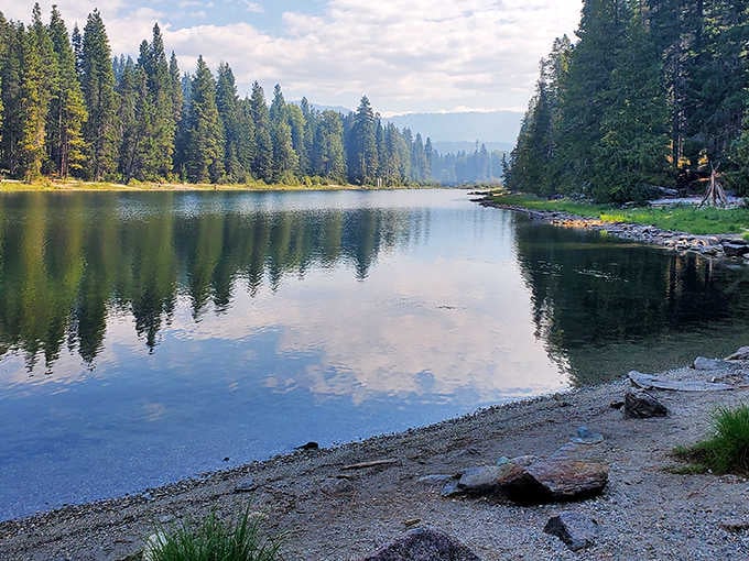 Where forest meets water in perfect harmony. Lake Wenatchee's mirror-like surface reflects the towering pines, creating a symmetry that would make even Wes Anderson jealous.