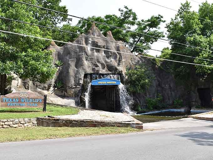 That faux-rock waterfall entrance isn't fooling anyone, but who cares when there's an earthquake fault waiting inside?
