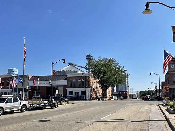 Main Street Elmwood stretches wide and welcoming, where parking spots outnumber your daily worries by about a thousand.