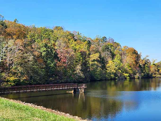 Fall colors exploding across the shoreline like nature decided to show off, and honestly, we're not complaining about it.