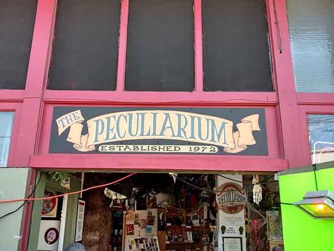 The vintage sign promises peculiarities, and trust me, this place delivers on every gloriously weird promise imaginable.