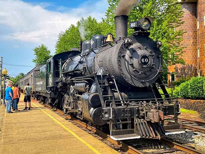 Steam locomotive number 60 sits ready to transport you back to when trains had personality and weren't afraid to show it.