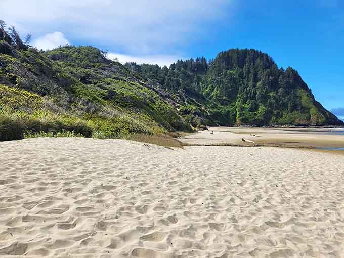 Your reward for the short hike: stunning Heceta Beach, where forest meets ocean in classic Oregon Coast beauty.