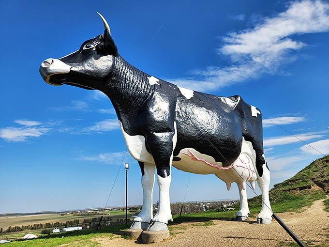 Salem Sue stands proudly against the Dakota sky, a 38-foot testament to dairy farming and America's delightful obsession with roadside giants.