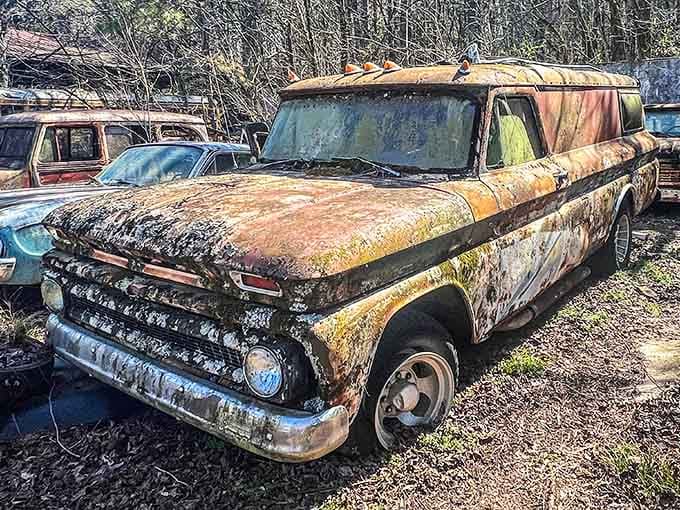 Nature's patient takeover of Detroit's finest creates an automotive graveyard that's oddly, beautifully haunting.