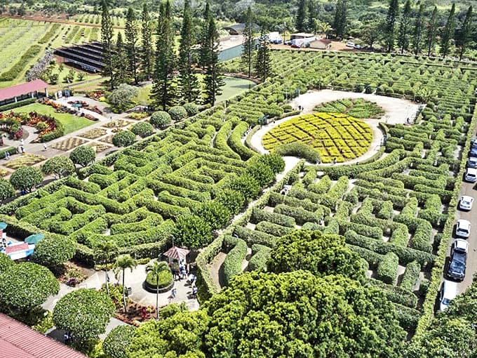 Aerial mastery: The world's largest maze sprawls across Oahu's landscape like a giant green puzzle waiting to be solved.