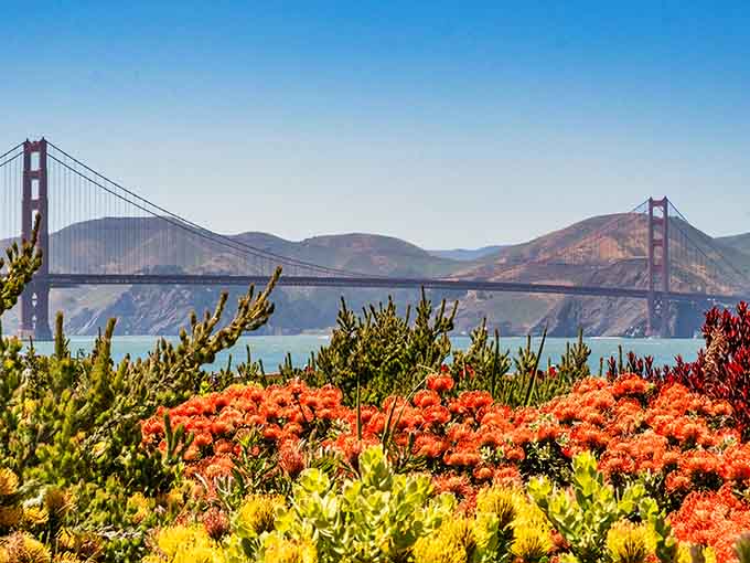 The Golden Gate Bridge frames a view so perfect, even your phone's camera can't mess it up.