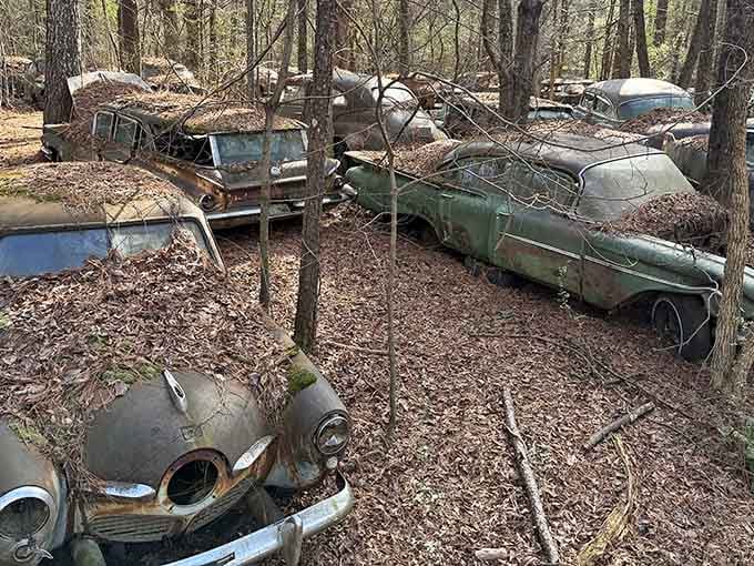 Nature's patient takeover of Detroit's finest creates an automotive graveyard that's oddly, beautifully haunting.
