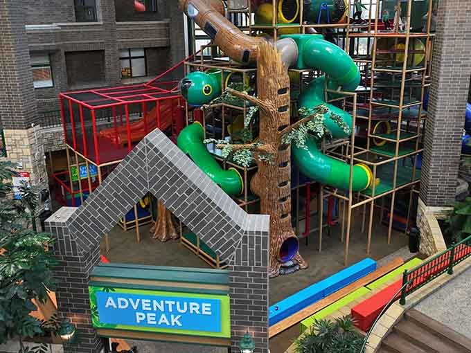 Step inside and discover a world where kids are in charge and adventure awaits at every turn.