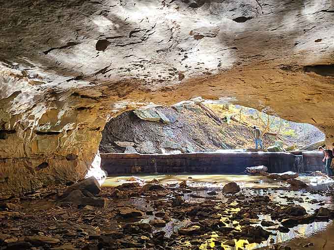 When the light hits just right, Devil's Icebox transforms into an underground cathedral of stone and water.