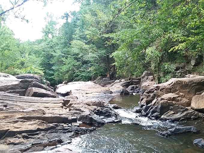 Nature's own rock garden, where the water takes its sweet time wandering through geological history.