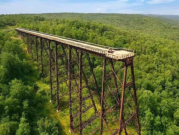 From above, the Kinzua Skywalk looks like nature's own roller coaster, minus the screaming and cotton candy.
