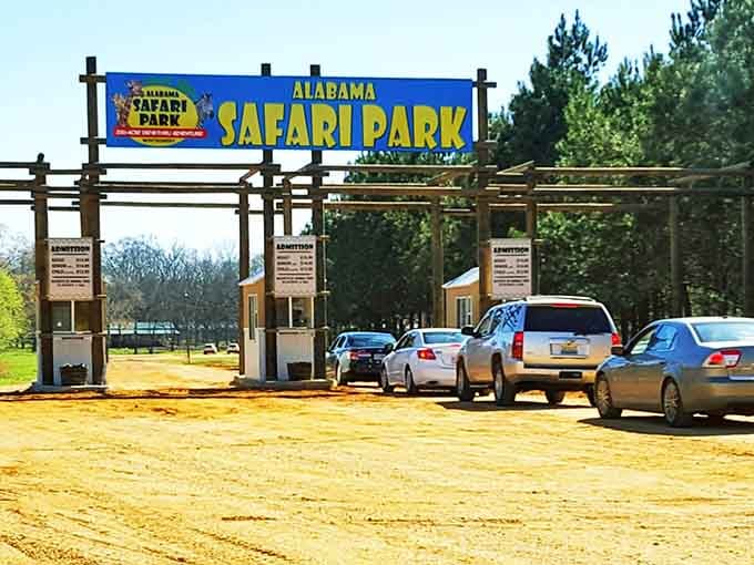 The grand entrance to your Alabama safari adventure, where the only passport you need is a sense of wonder.
