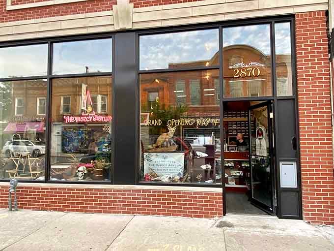 The storefront at 2870 beckons with promises of six-legged wonders and curiosities that'll make your skin crawl, delightfully.