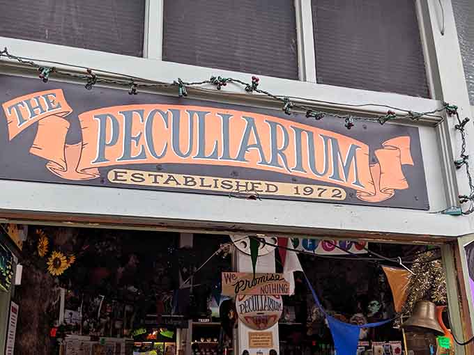 The vintage sign promises peculiarities, and trust me, this place delivers on every gloriously weird promise imaginable.