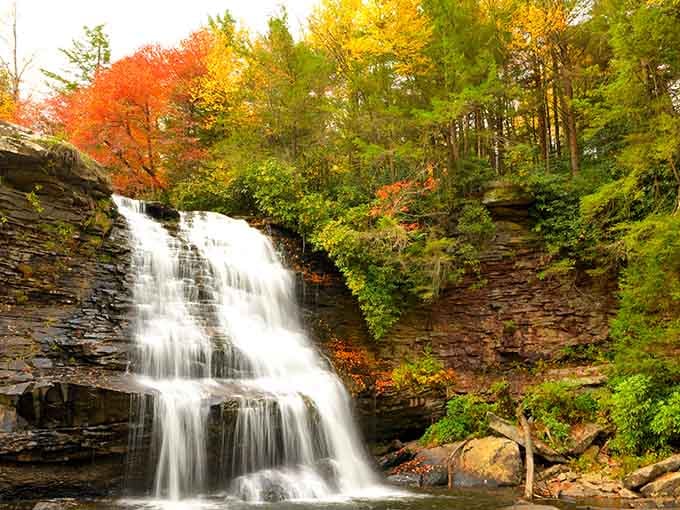 Autumn transforms Swallow Falls into a postcard that makes your camera roll look like a professional portfolio.