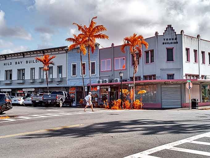 The iconic Hilo Bay Building anchors the corner with its distinctive architecture and those impossibly orange palm trees.