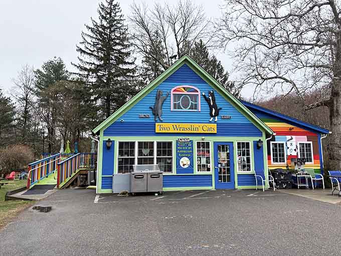 That electric blue exterior isn't just eye-catching, it's practically demanding you pull over and investigate immediately.