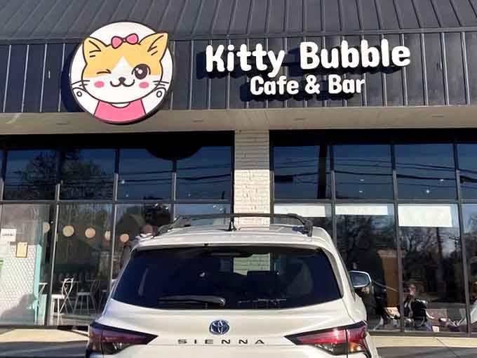 That cheerful cartoon cat waving from the storefront knows exactly what you need today: feline therapy and caffeine.