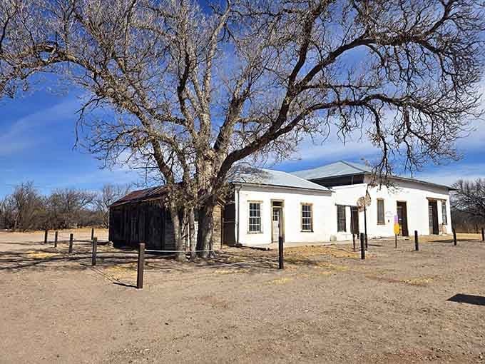 The Fairbank townsite stands ready for its close-up, looking remarkably photogenic for being over a century old.