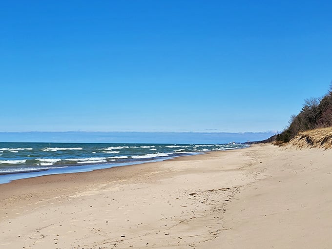Where ocean meets Midwest! The pristine shoreline of Indiana Dunes stretches along Lake Michigan like nature's perfect welcome mat.