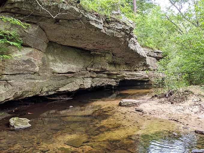 Mother Nature's masterclass in tranquility &ndash; where the soundtrack is rushing water instead of your neighbor's lawnmower starting at 7 AM on a Saturday.