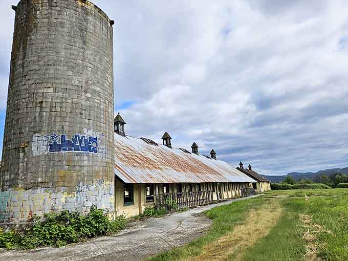 That towering concrete silo has witnessed decades of change, now wearing graffiti like badges of honor.