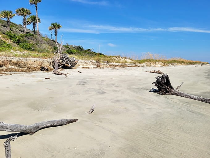Wide open spaces meet weathered wood sculptures in this coastal gallery that never charges admission.