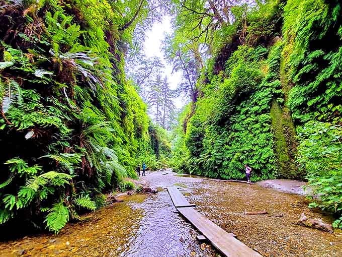 This is what happens when Mother Nature decides to go absolutely wild with the green paint and forgets to stop.