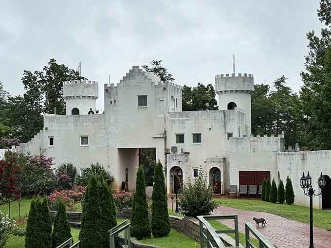 When a medieval fortress shows up in Georgia, you don't ask questions, you just grab your camera and go.