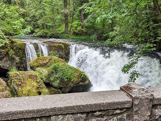 That viewing platform isn't just for show; it's your front-row seat to nature's most refreshing performance.